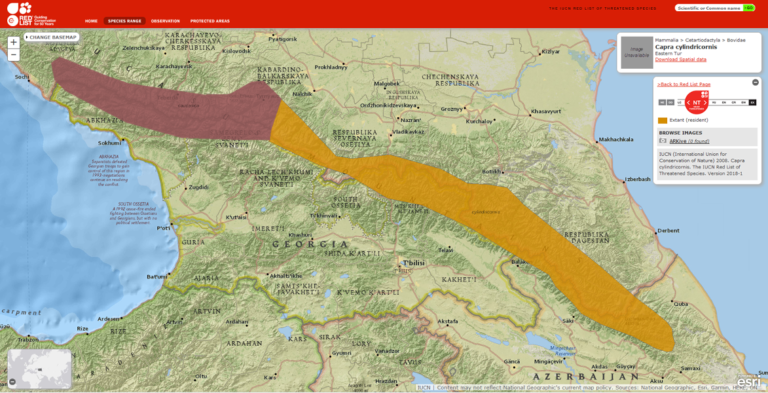 Tur Project – Caucasus Barcode of Life